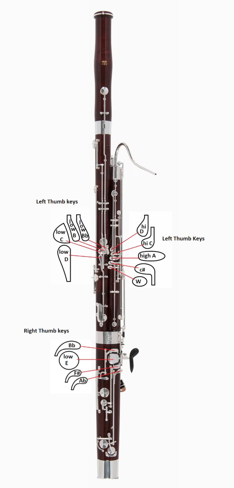 Diagram of the Bassoon Keys – A Modern Guide to Teaching and Playing ...